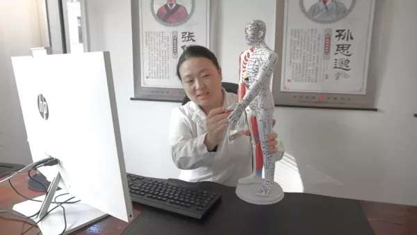 Téléconsultation - Centre d'acupuncture et de médecine chinoise à Genève