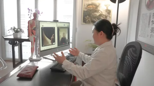 Téléconsultation - Centre d'acupuncture et de médecine chinoise à Genève